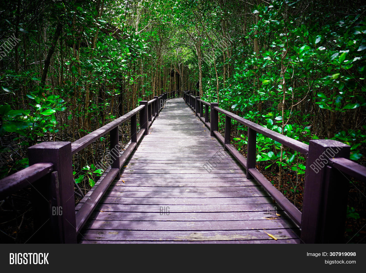 Wooden Foot Bridge Image & Photo (Free Trial) | Bigstock