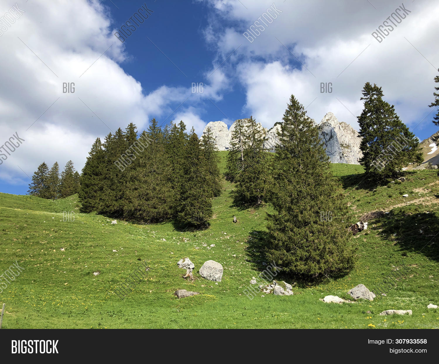Alpine Pastures Image & Photo (Free Trial) | Bigstock