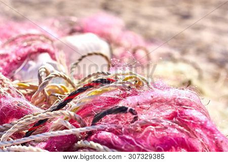 Tangled Mess Fishing Image & Photo (Free Trial) | Bigstock