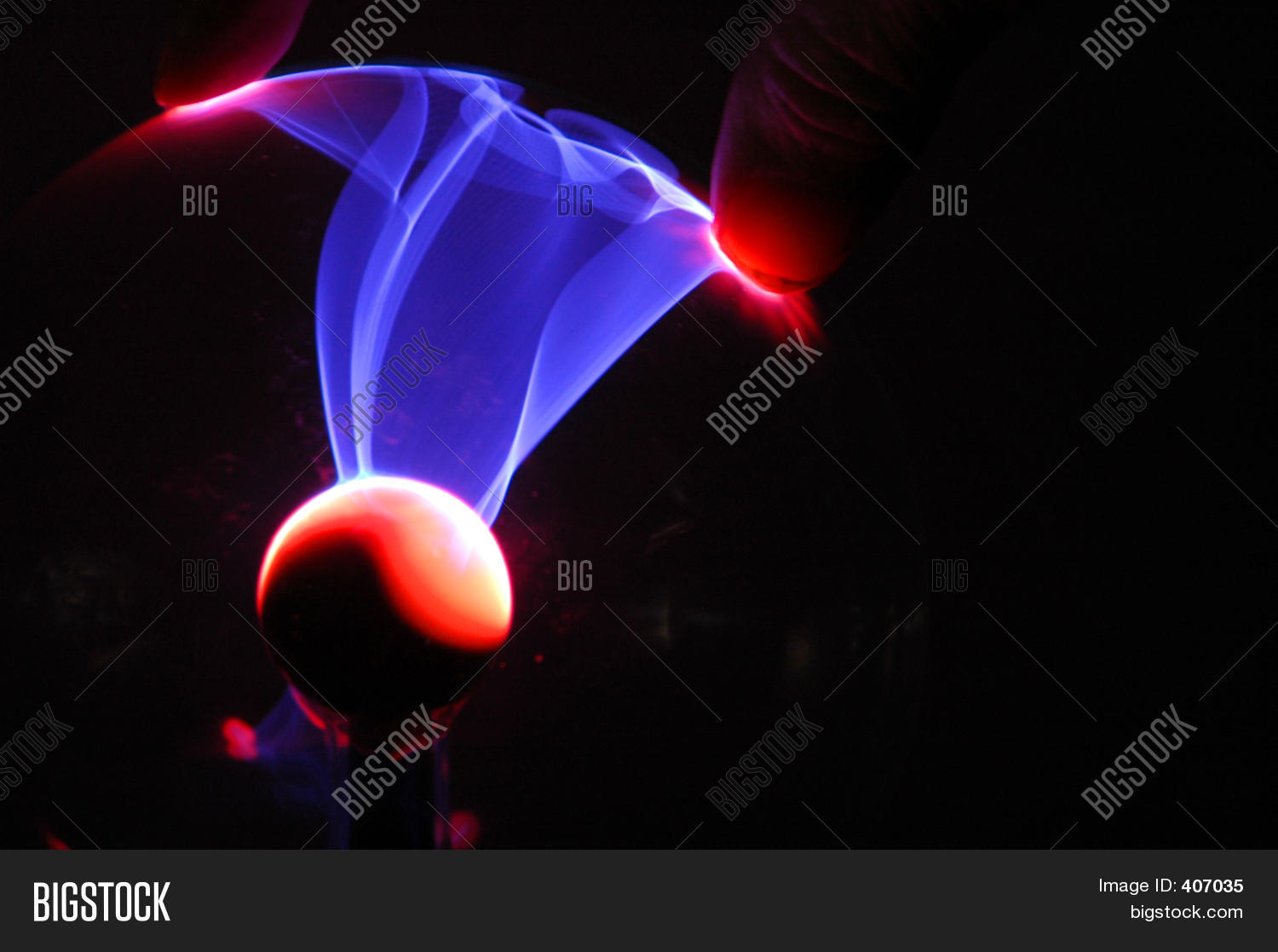 Electric Ray Image & Photo (Free Trial) | Bigstock