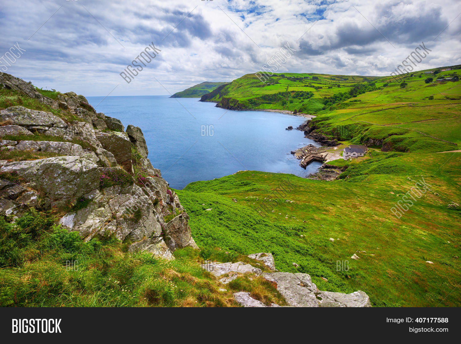 View Torr Head On Image & Photo (Free Trial) | Bigstock