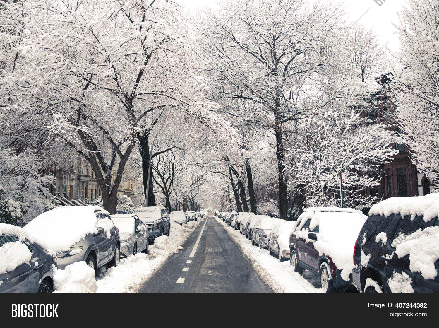 Winter Scene Snow Image & Photo (Free Trial) | Bigstock