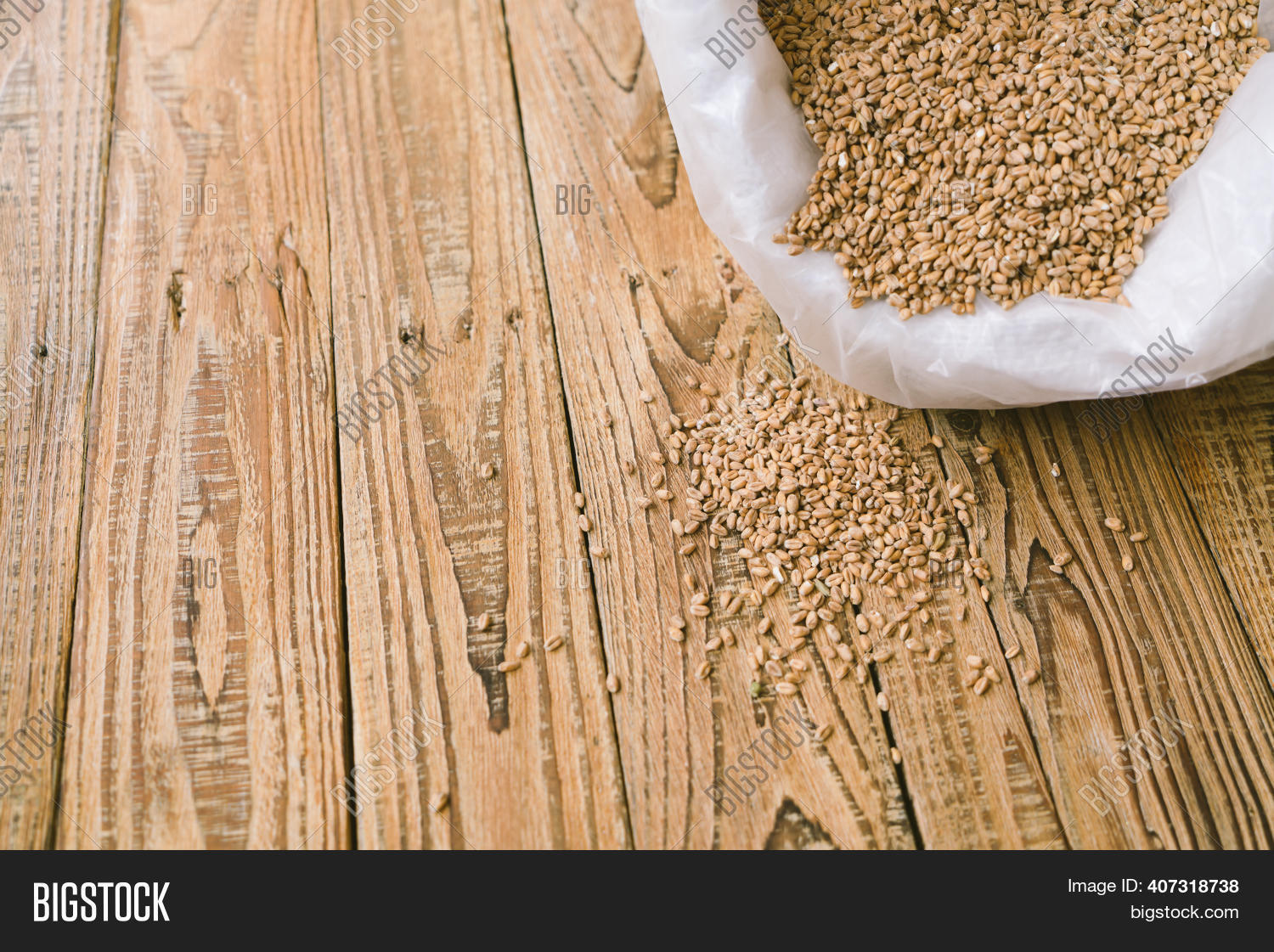 Barley, Dry Malt Beans Image & Photo (Free Trial) | Bigstock