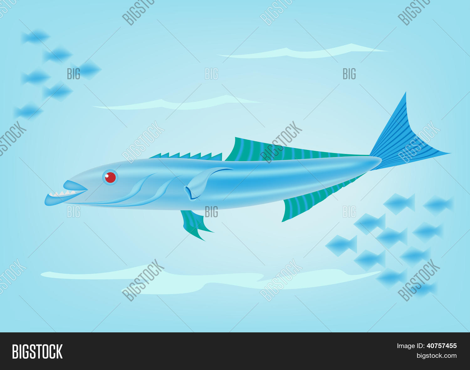 Cobia Fish Vector & Photo (Free Trial) | Bigstock