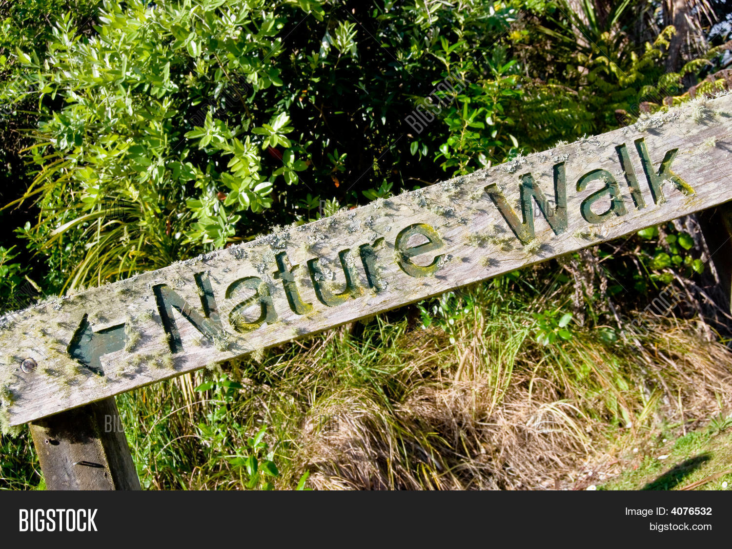 Nature Walk Sign Image & Photo (Free Trial) | Bigstock