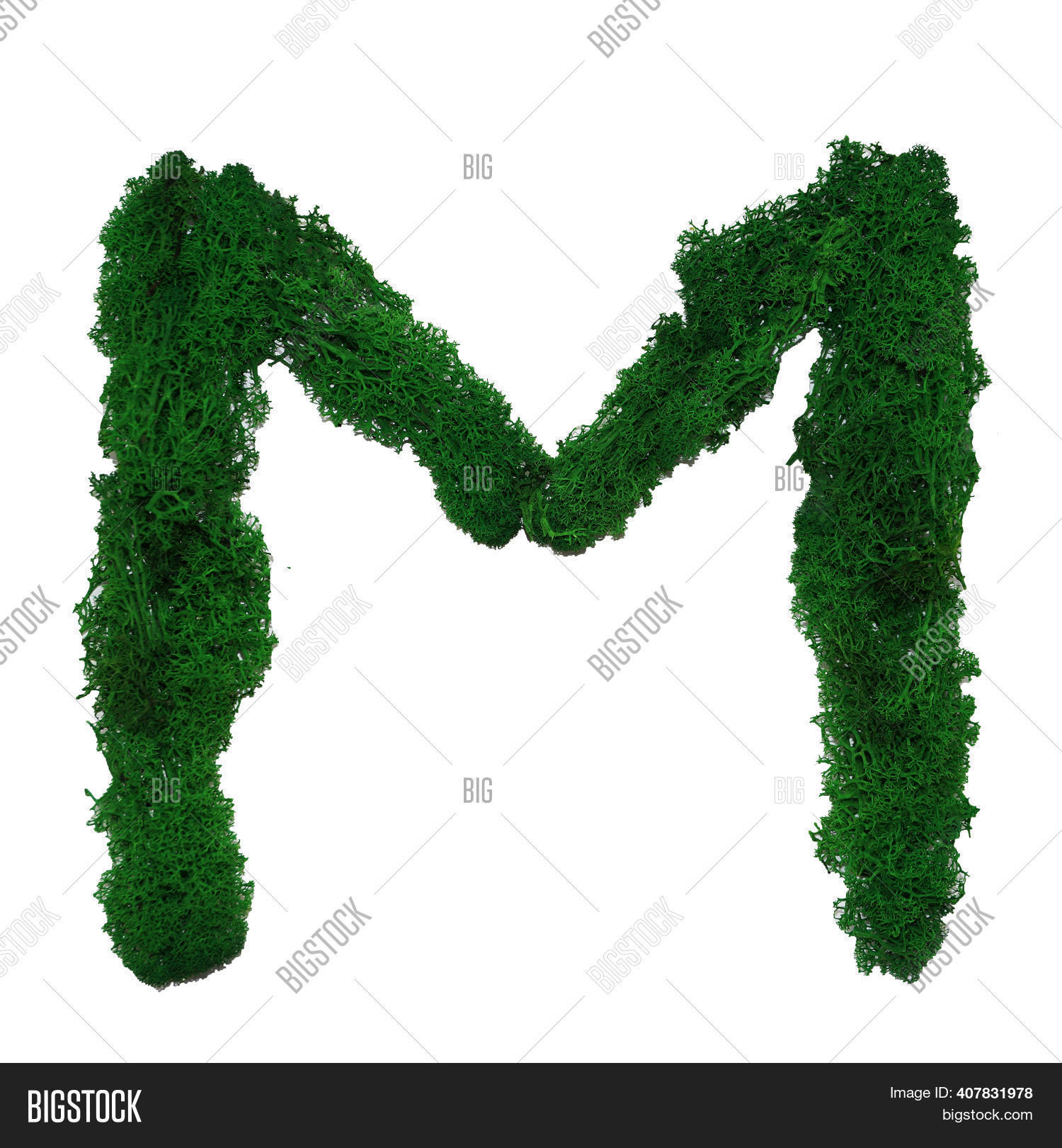 Letter M English Image & Photo (Free Trial) | Bigstock