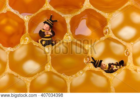 Two Newborn Babies Bee Image & Photo (Free Trial) | Bigstock