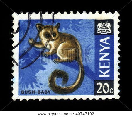 Nagapie Images, Illustrations & Vectors (Free) - Bigstock