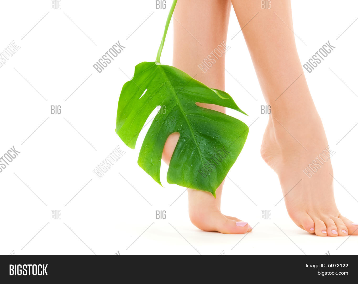 Female Feet Green Leaf Image & Photo (Free Trial) | Bigstock