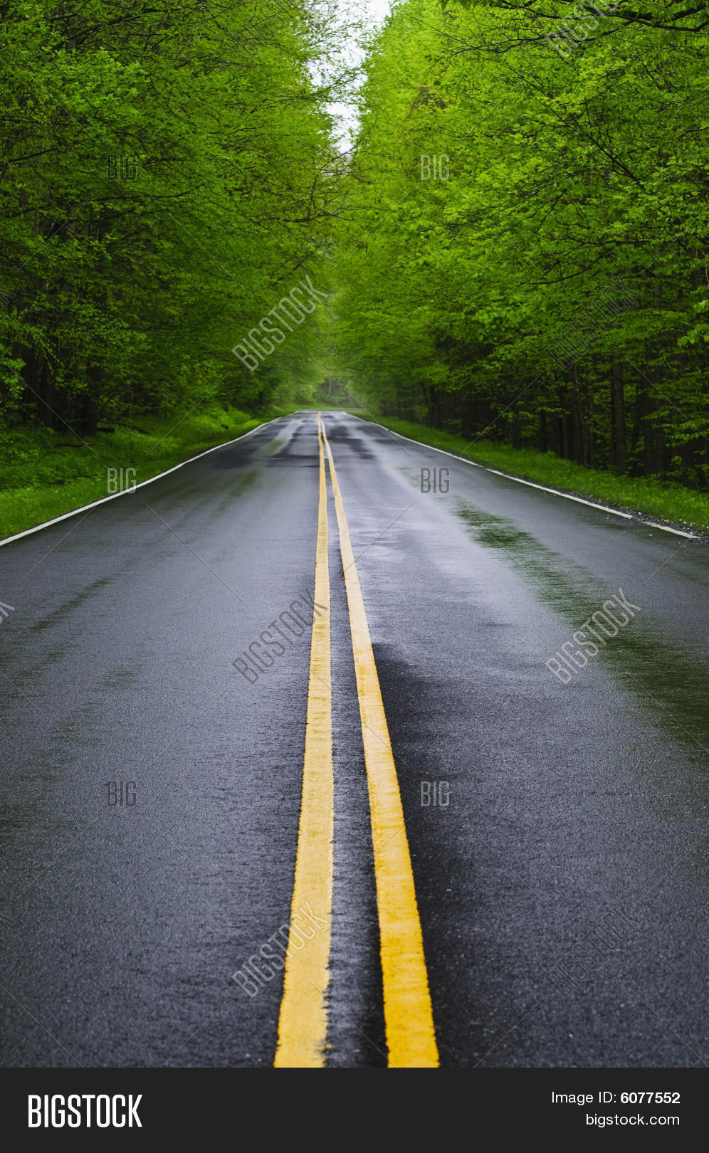 Straight Wet Road Image & Photo (Free Trial) | Bigstock