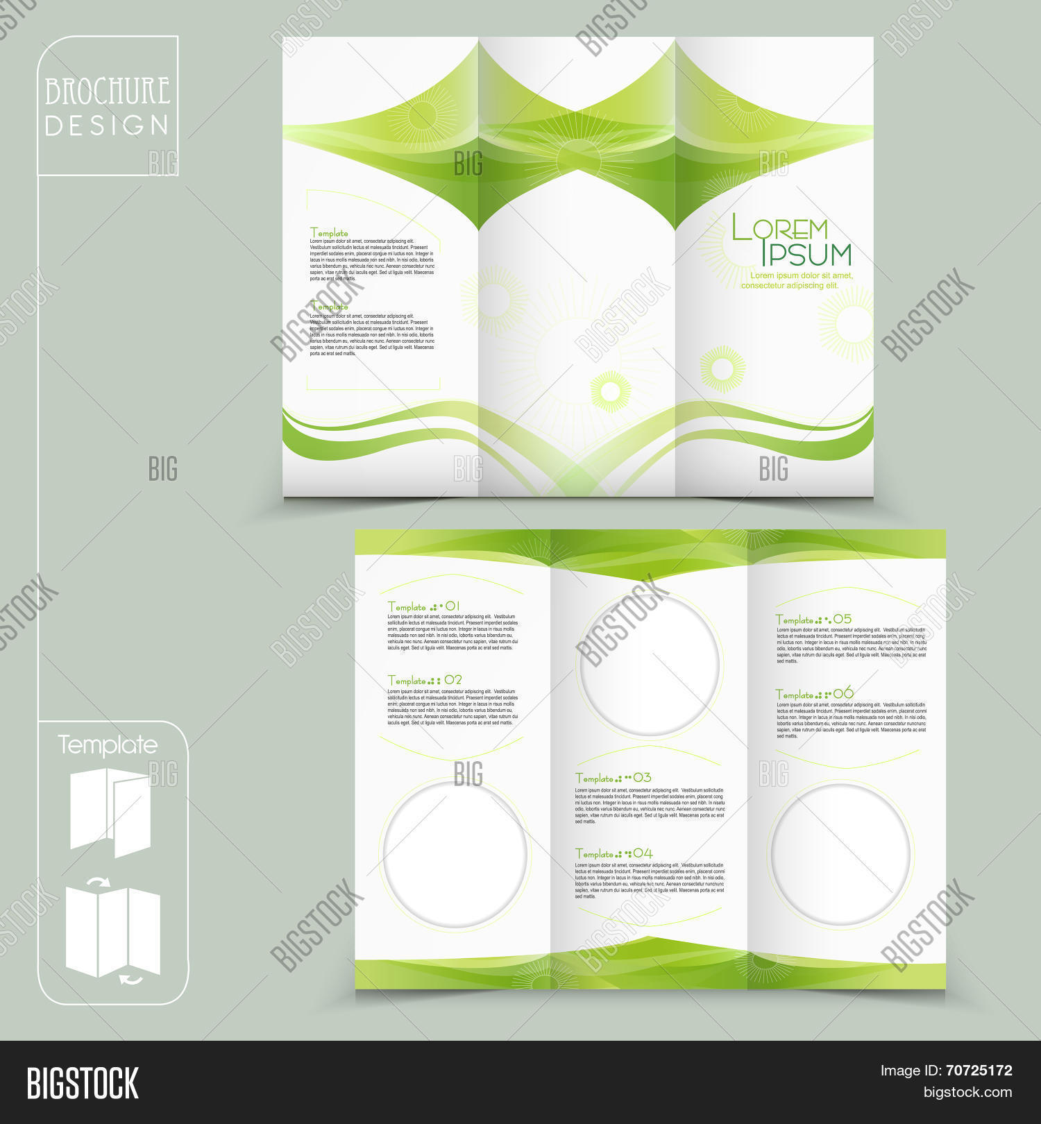 Tri-fold Green Vector & Photo (Free Trial) | Bigstock