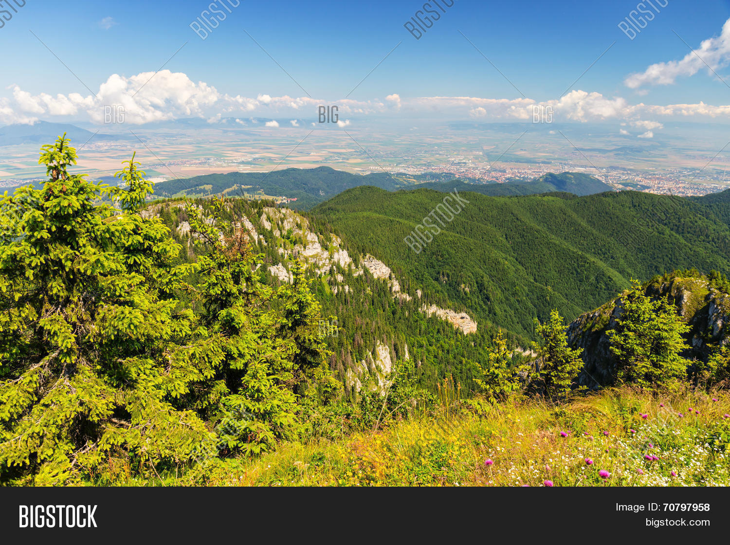 View Postavarul Massif Image & Photo (Free Trial) | Bigstock
