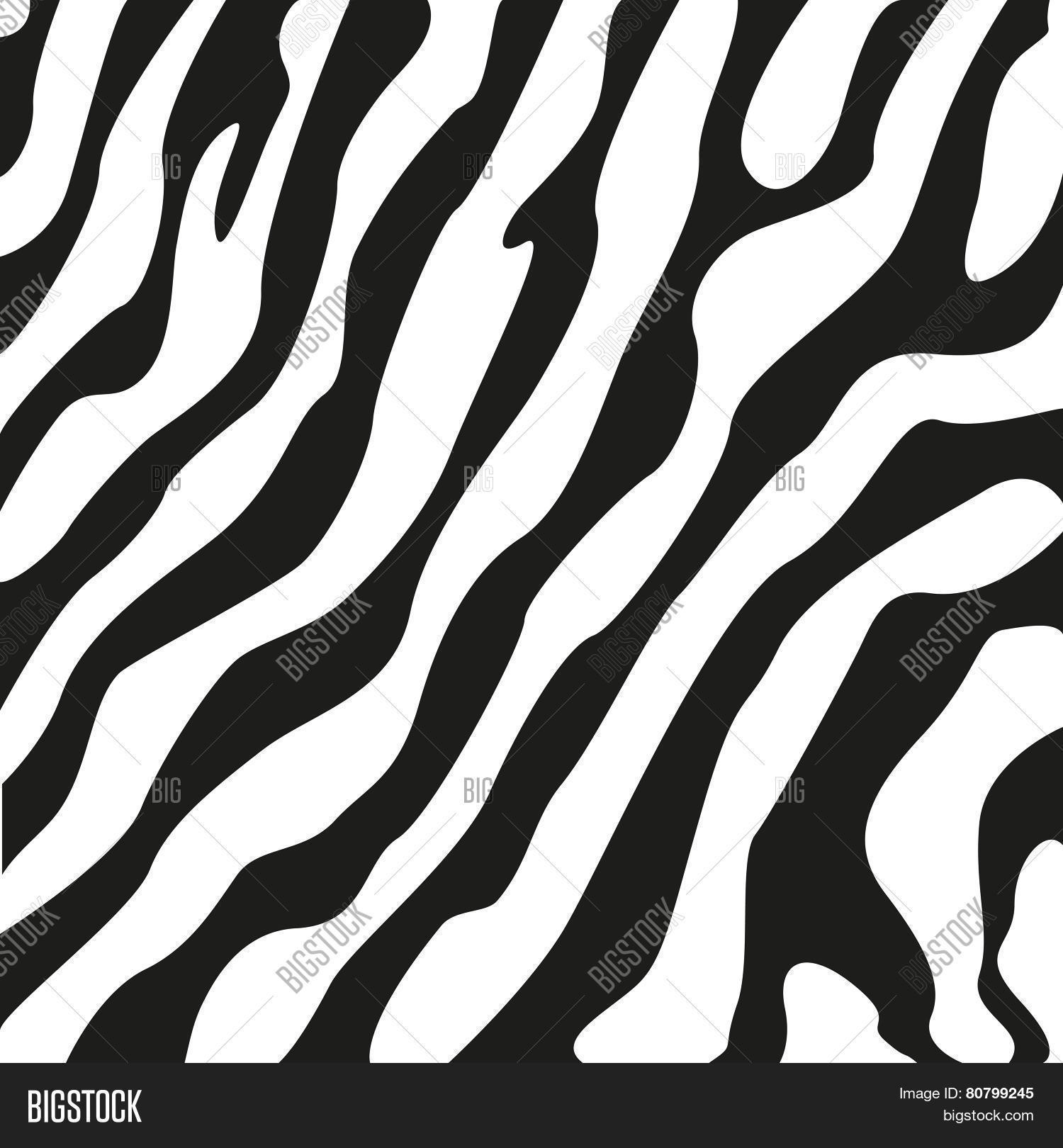 Zebra Stripes Texture Vector & Photo (Free Trial) | Bigstock
