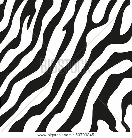 Zebra Stripes Texture Vector & Photo (Free Trial) | Bigstock