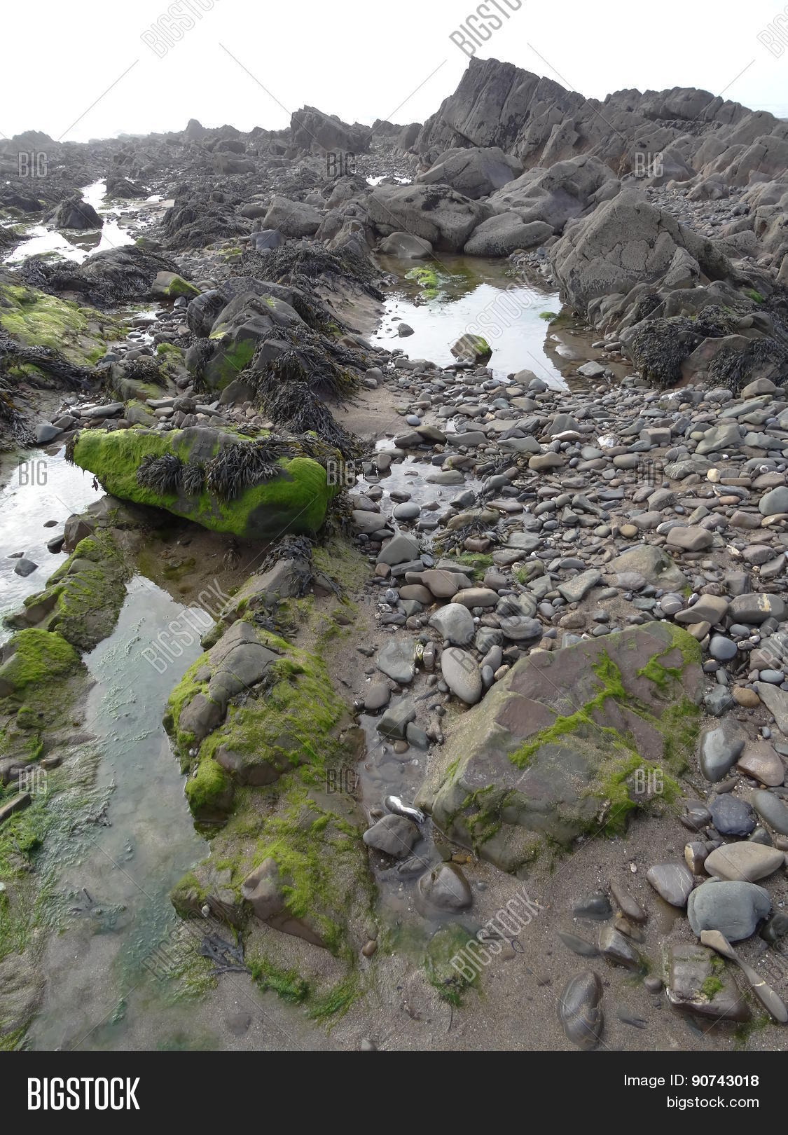 Rocky Beach Seascape Image & Photo (Free Trial) | Bigstock