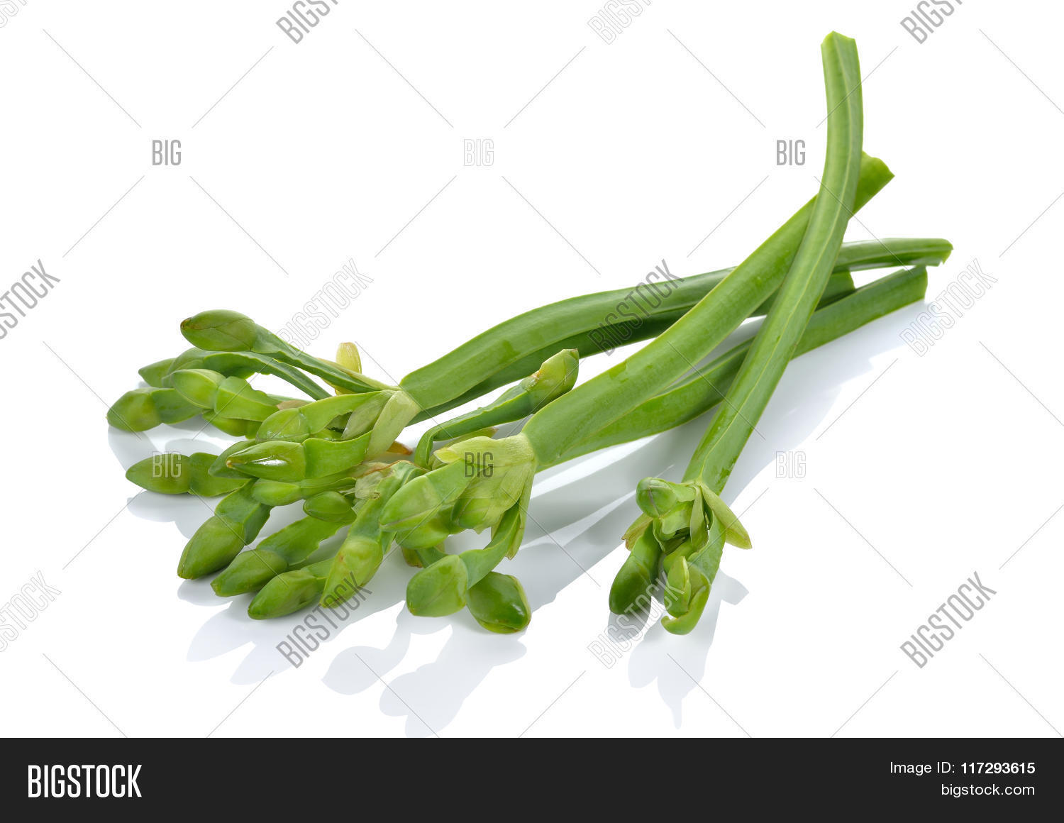 Limnocharis Flava Image & Photo (Free Trial) | Bigstock