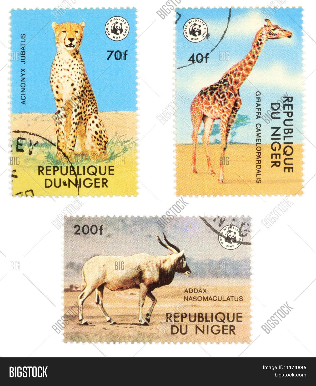 African Postage Stamps Image & Photo (Free Trial) | Bigstock