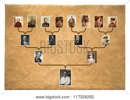 Tree Family History Image & Photo (Free Trial) | Bigstock