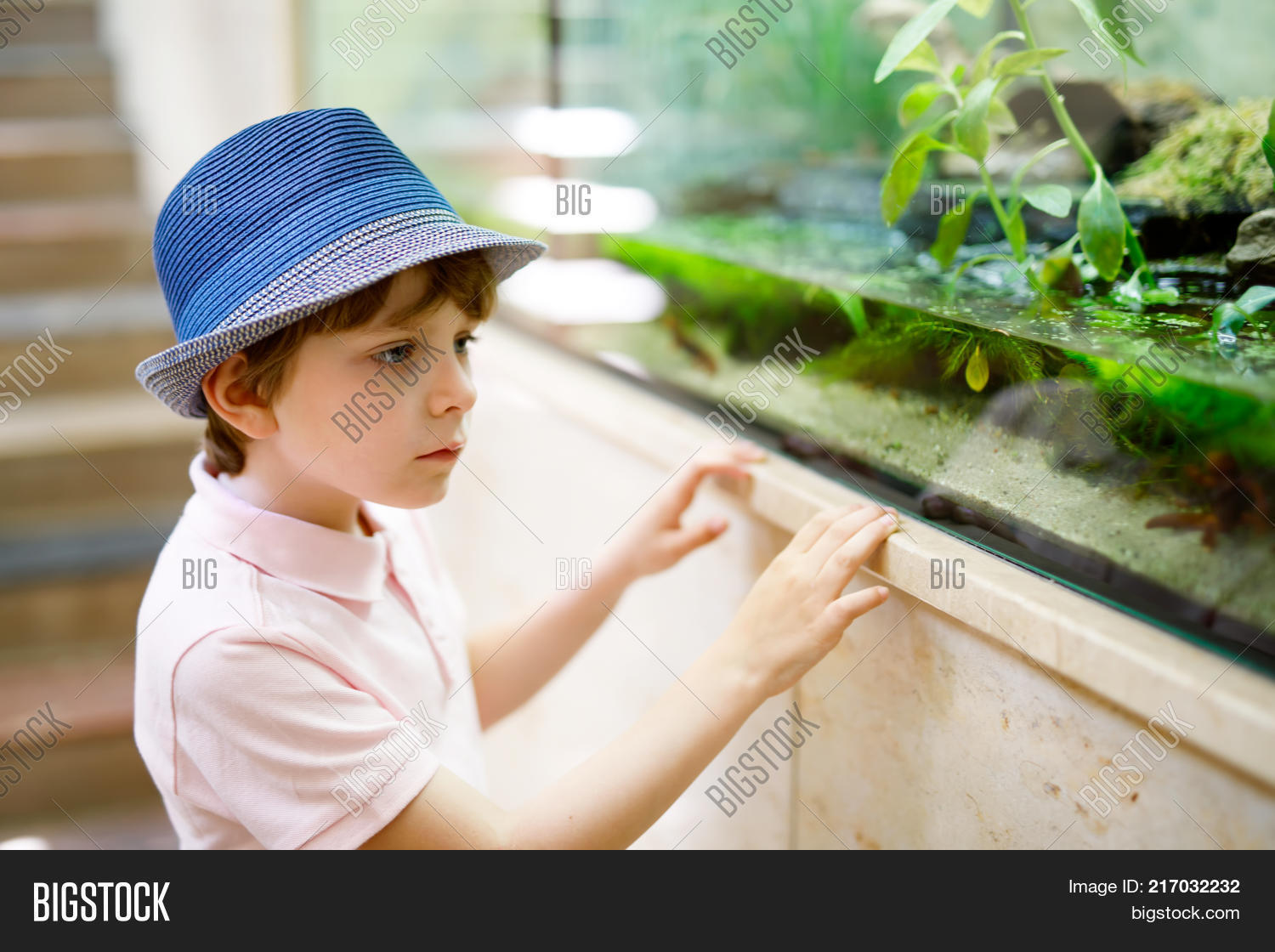 Little Kid Boy Admire Image & Photo (Free Trial) | Bigstock