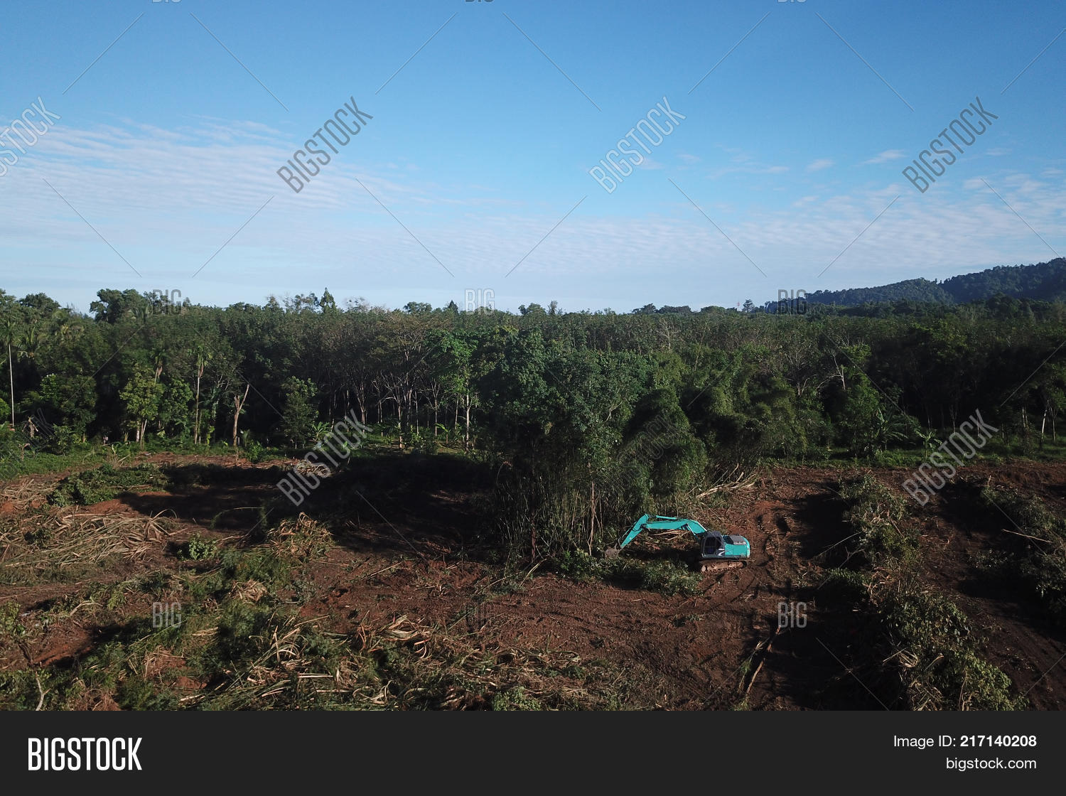 Deforestation. Logging Image & Photo (Free Trial) | Bigstock