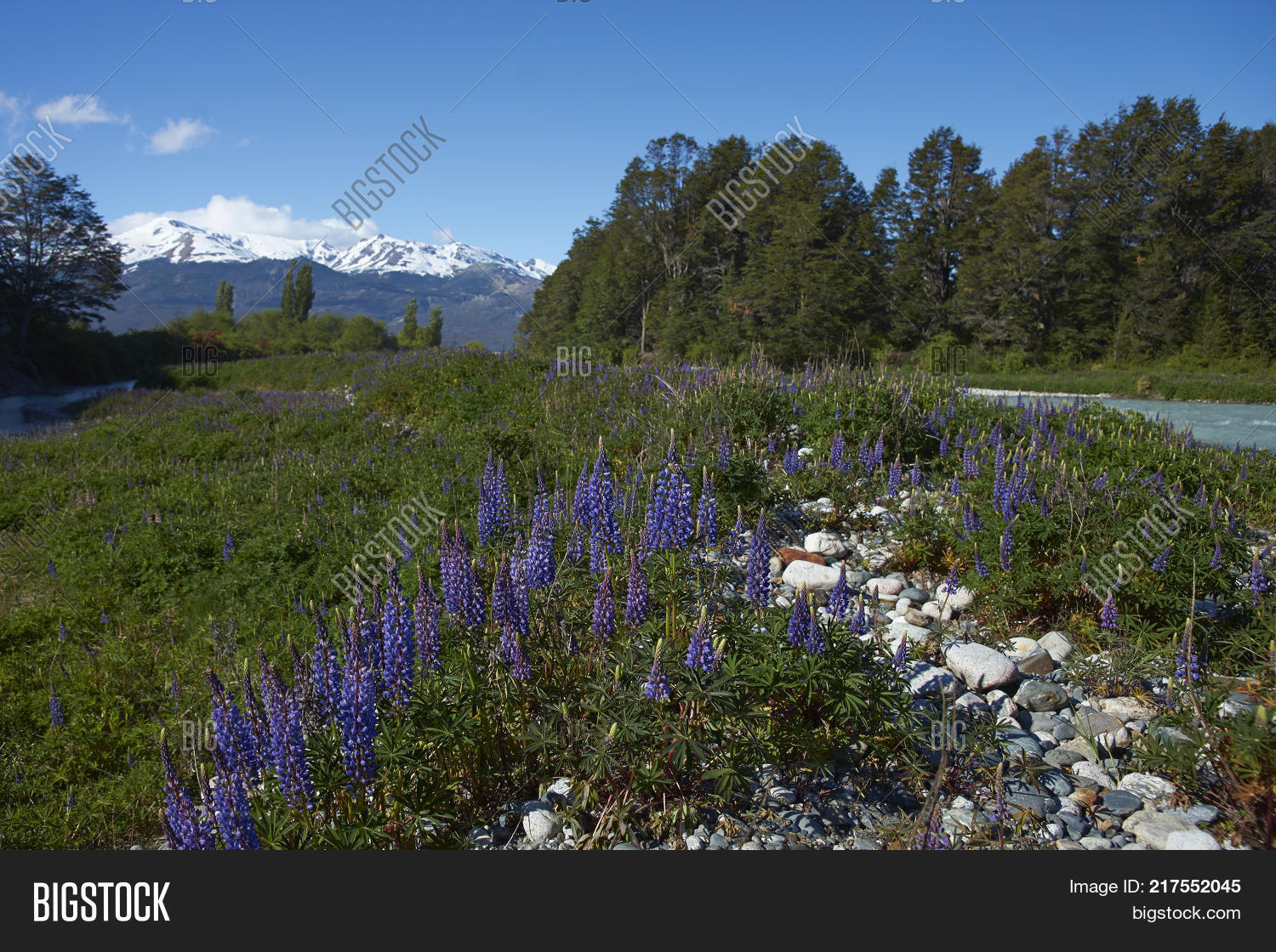 Spring Patagonia. Image & Photo (Free Trial) | Bigstock