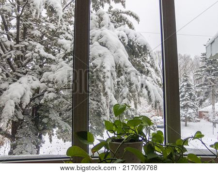 ภาพและภาพถ่าย (ทดลองใช้ฟรี) | Bigstock