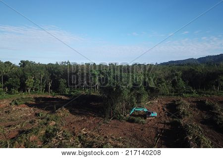 Deforestation. Logging Image & Photo (Free Trial) | Bigstock
