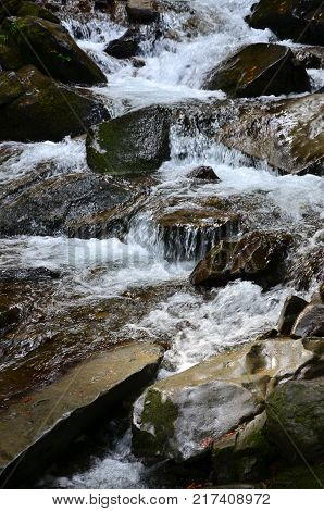 Water Close Up Mountain Stream Images, Illustrations & Vectors (Free ...