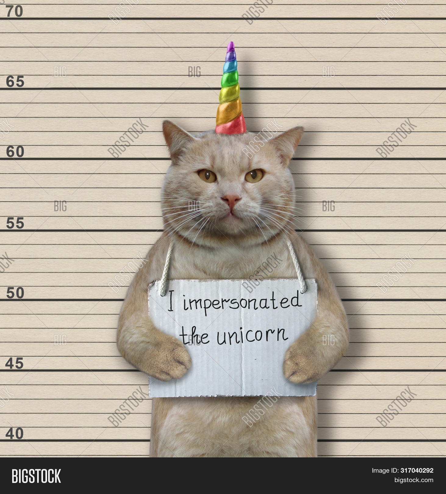 Cat Criminal Has Sign Image & Photo (Free Trial) | Bigstock