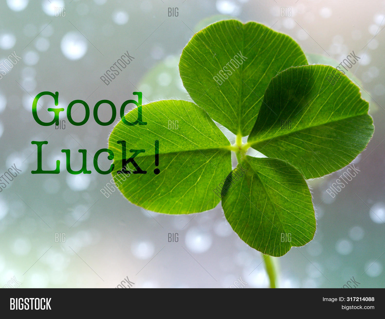Good Luck - Image & Photo (Free Trial) | Bigstock
