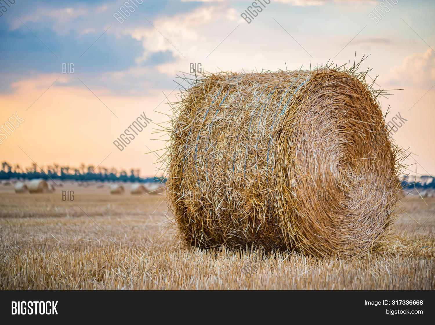 Big Round Haystacks On Image & Photo (Free Trial) | Bigstock