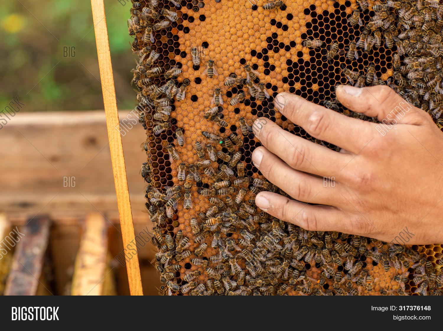 Closeup Hands Image & Photo (Free Trial) | Bigstock
