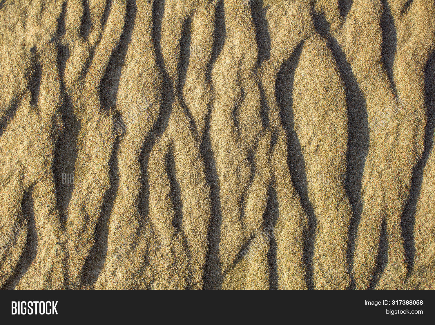 Sand Top View