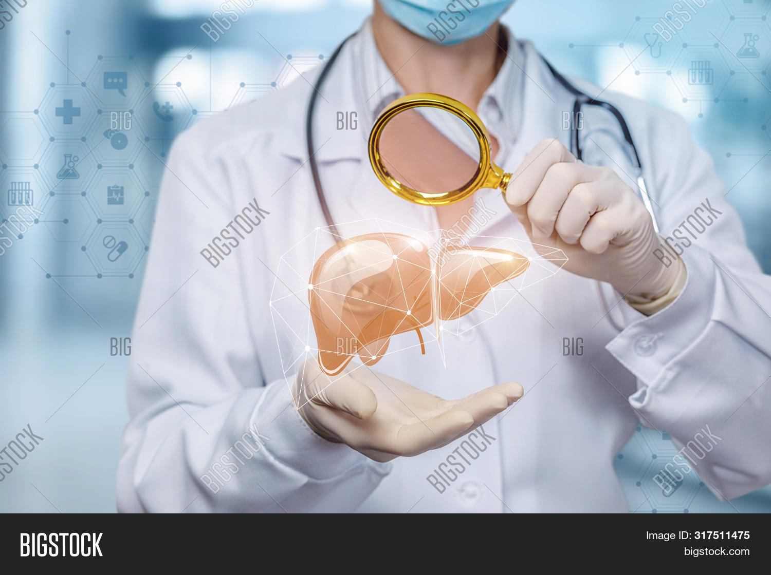 Concept Study Liver. Image & Photo (Free Trial) | Bigstock
