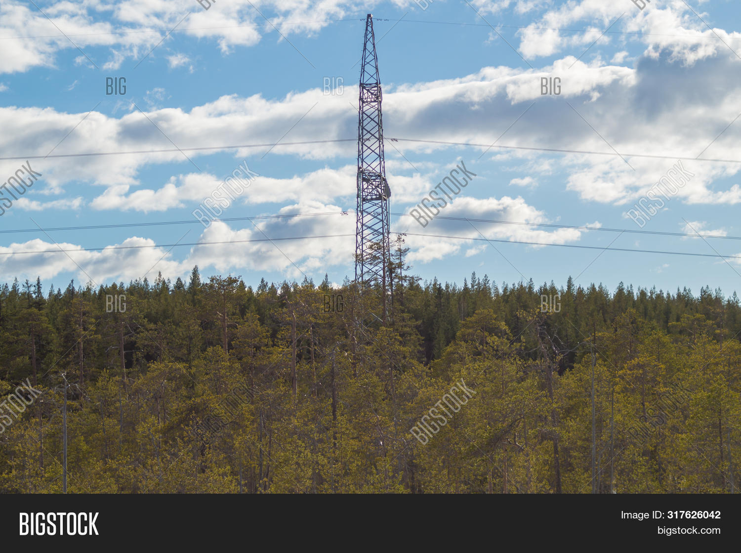 Power Line Post Forest Image & Photo (Free Trial) | Bigstock