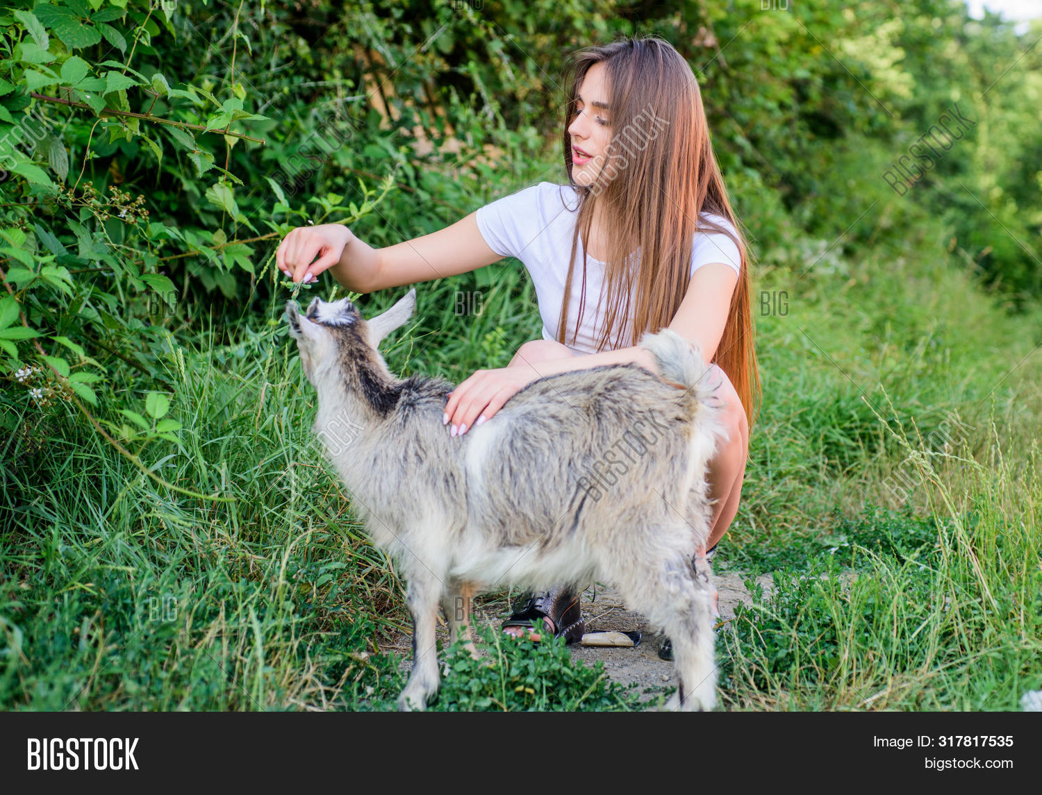 Animals Our Friends. Image & Photo (Free Trial) | Bigstock