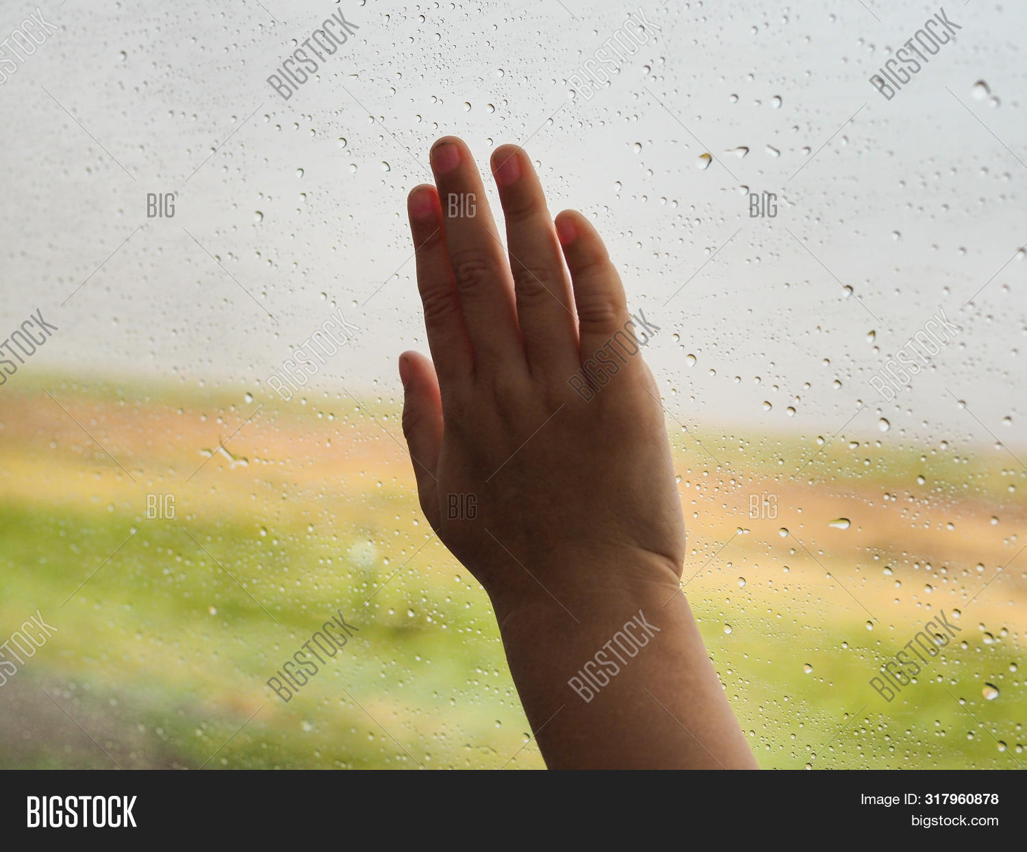 Childs Hand On Image & Photo (Free Trial) | Bigstock