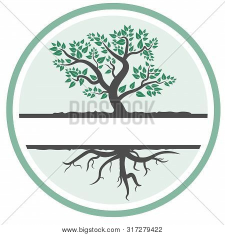OAK Tree With Roots Images, Illustrations & Vectors (Free) - Bigstock