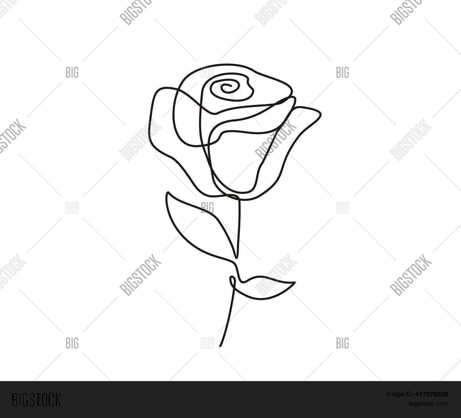 Minimalist Rose Vector & Photo (Free Trial) | Bigstock