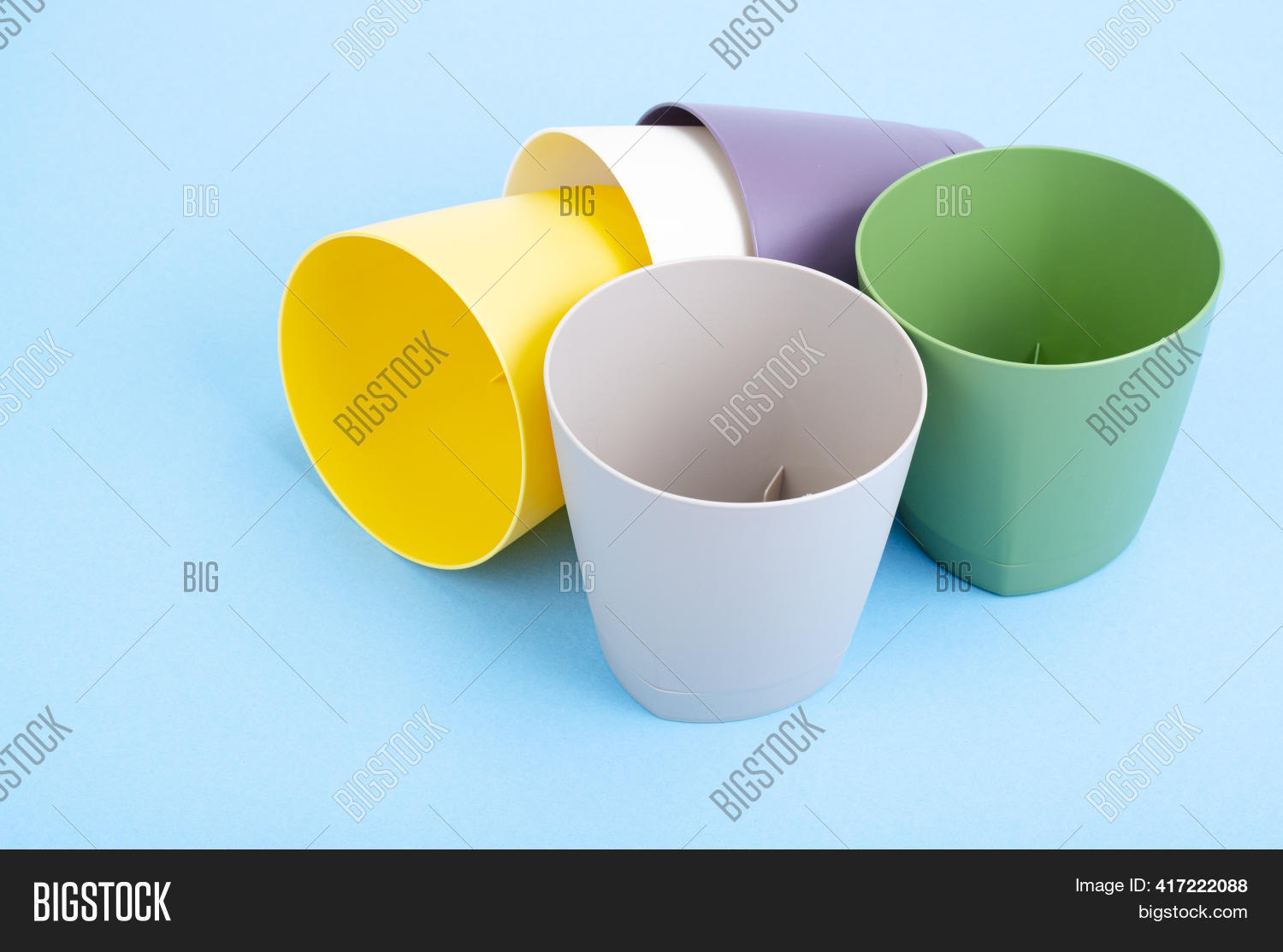 Bright Blank Flower Image & Photo (Free Trial) | Bigstock