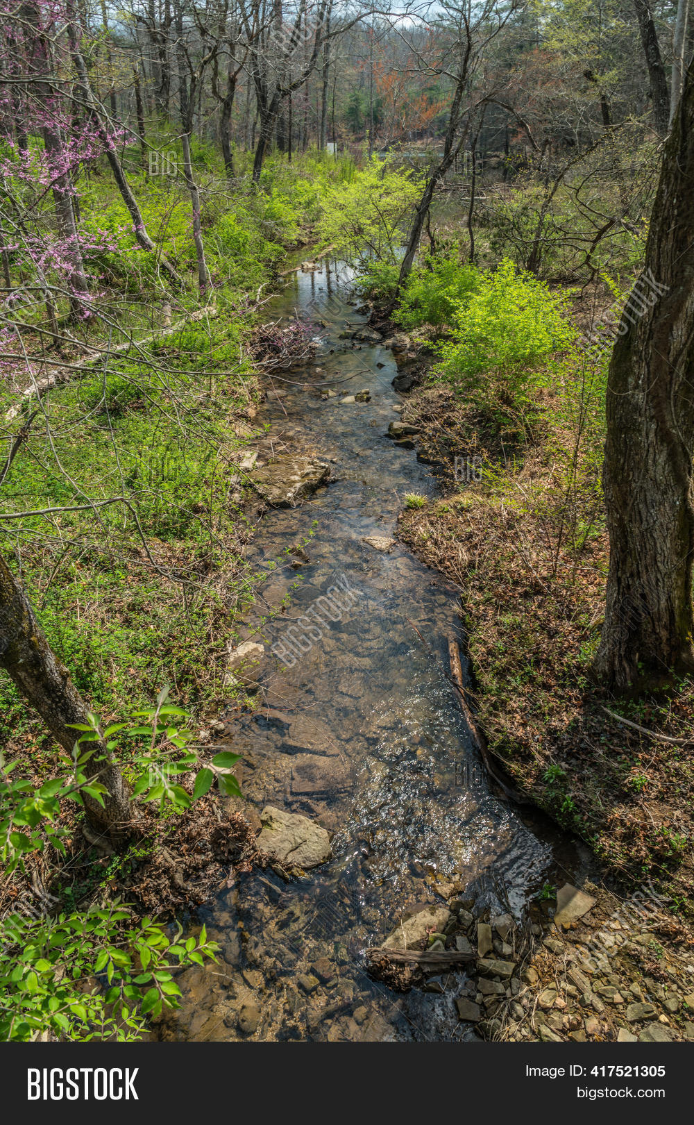 Looking Down Bridge Image & Photo (Free Trial) | Bigstock