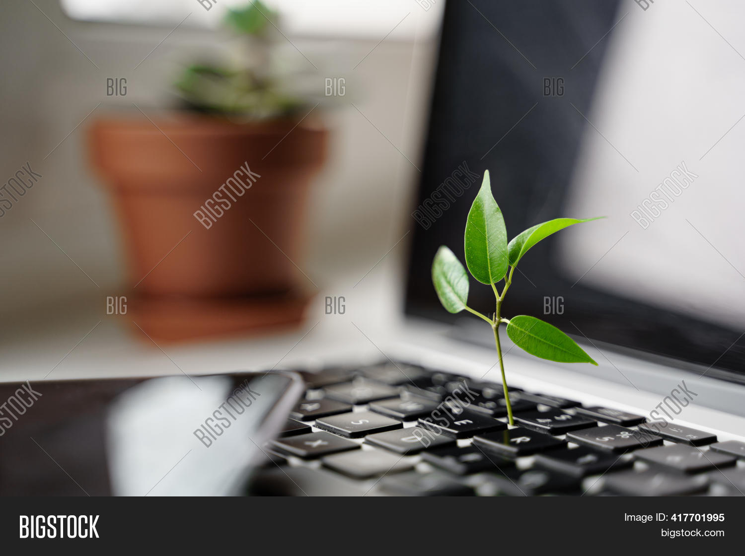Laptop Keyboard Plant Image & Photo (Free Trial) | Bigstock