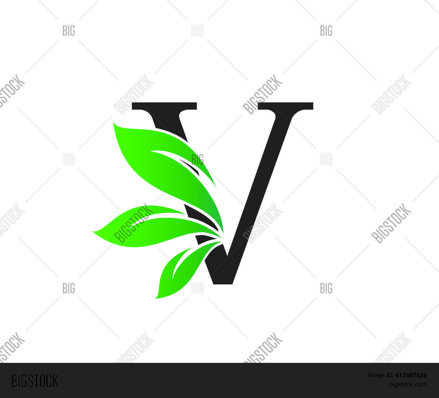 Letter V Logo Green Vector & Photo (Free Trial) | Bigstock