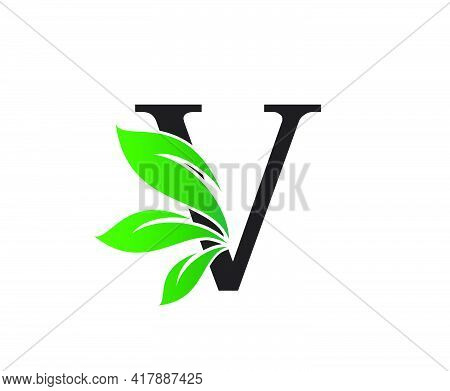 Letter V Logo Green Vector & Photo (Free Trial) | Bigstock