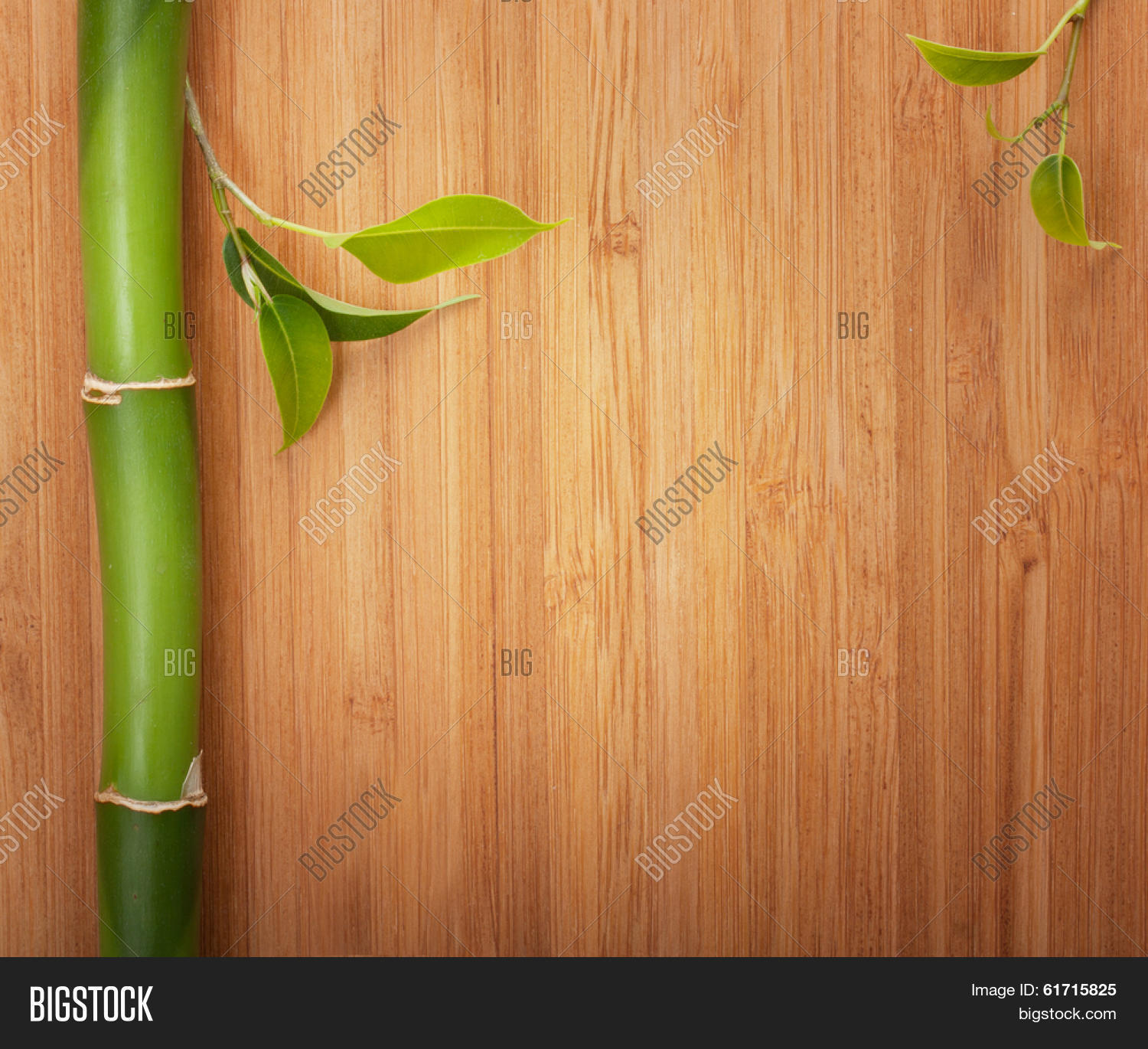 Bamboo Frame Made Image & Photo (Free Trial) | Bigstock