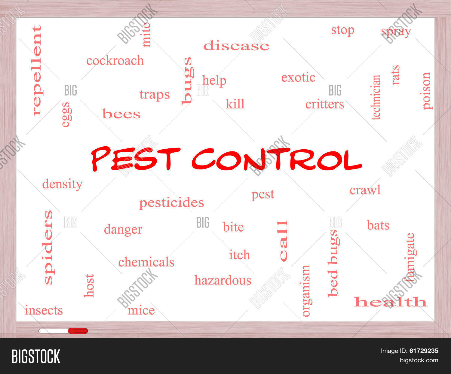 Pest Control Word Image & Photo (Free Trial) | Bigstock