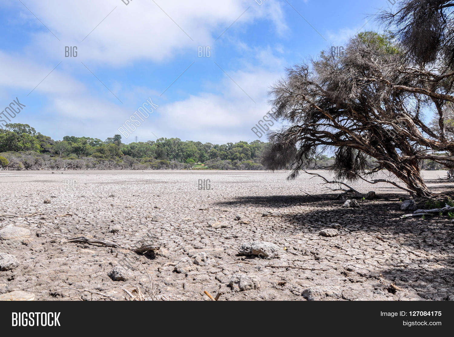 Drought Landscape Image & Photo (Free Trial) | Bigstock