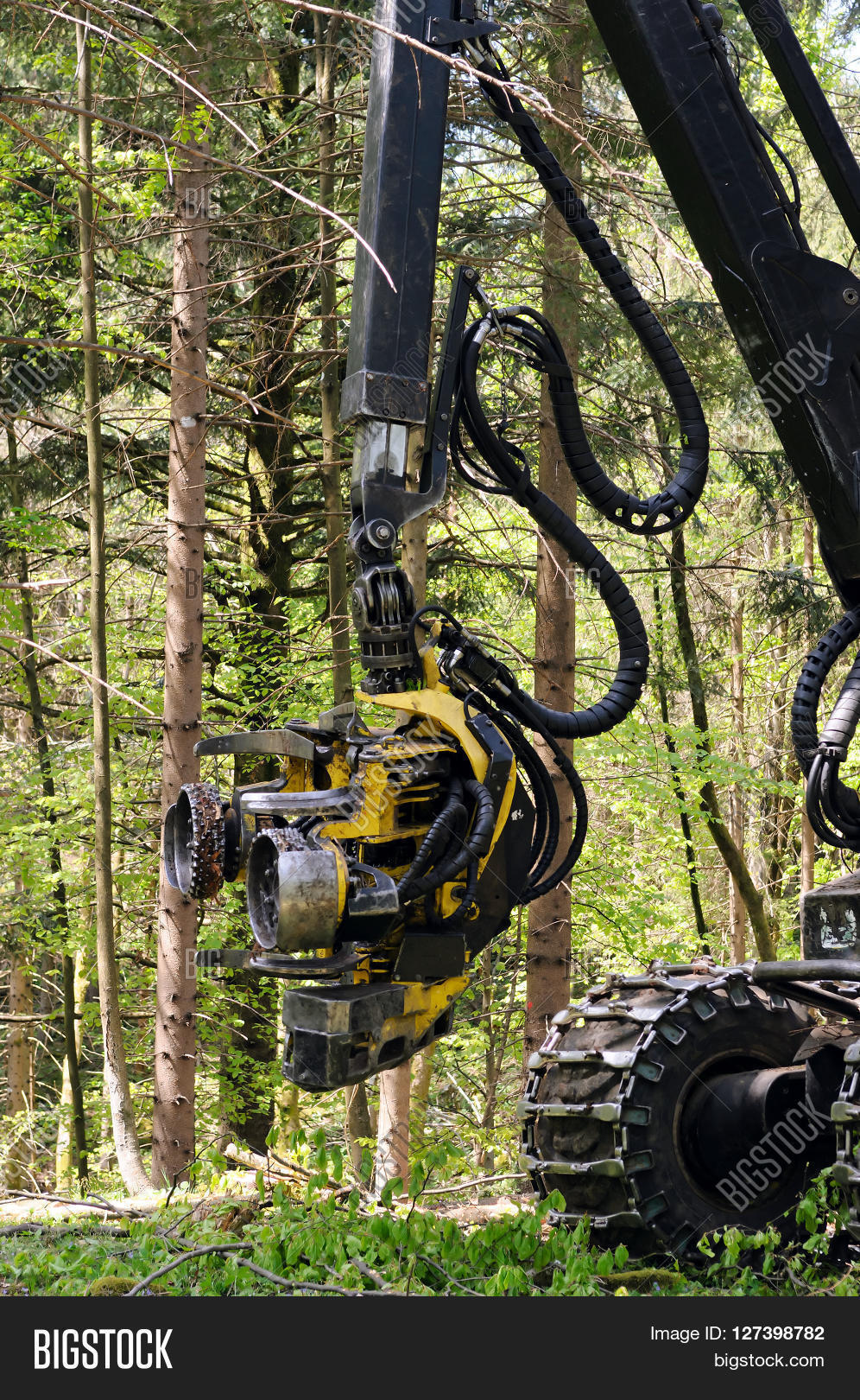 Forest Harvester Image & Photo (Free Trial) | Bigstock