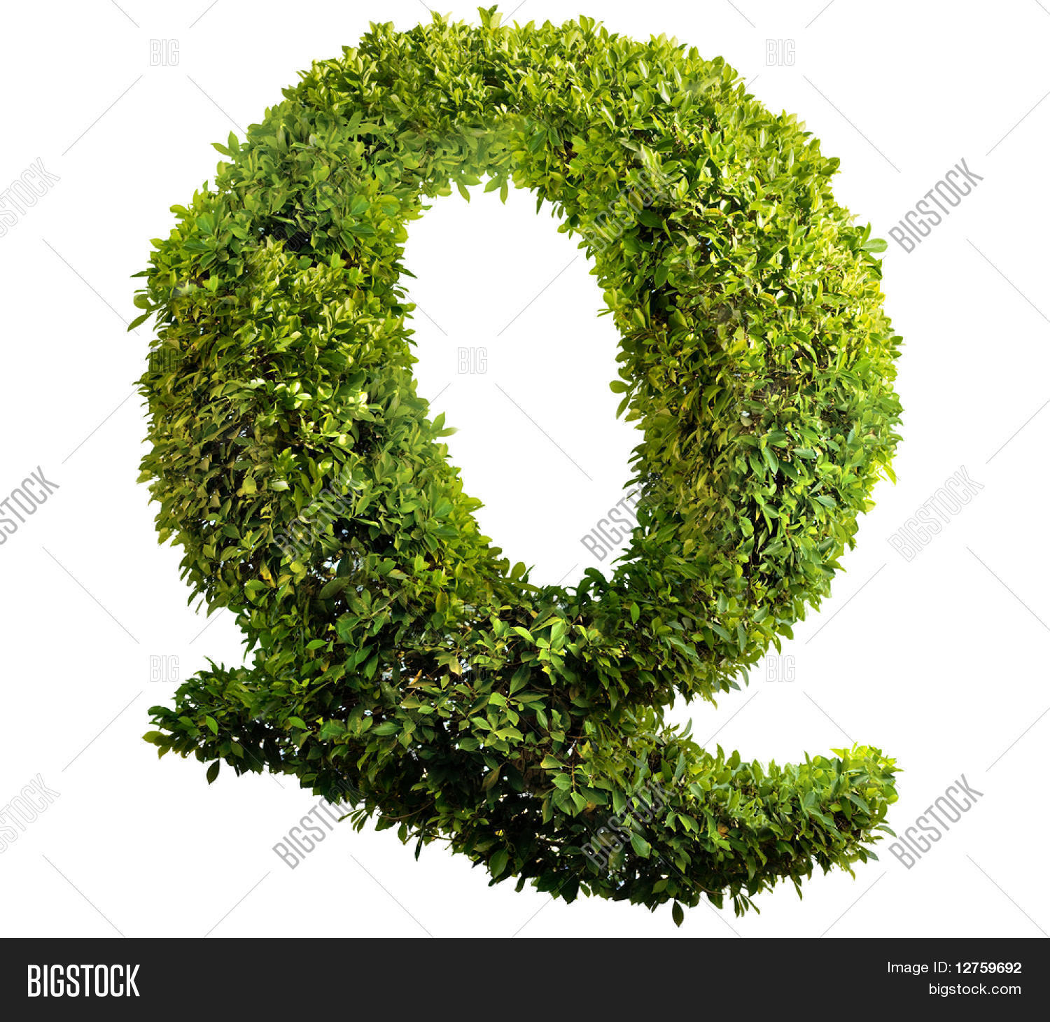 One Letter Bush Image & Photo (Free Trial) | Bigstock