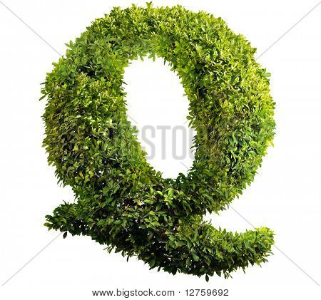 One Letter Bush Image & Photo (Free Trial) | Bigstock